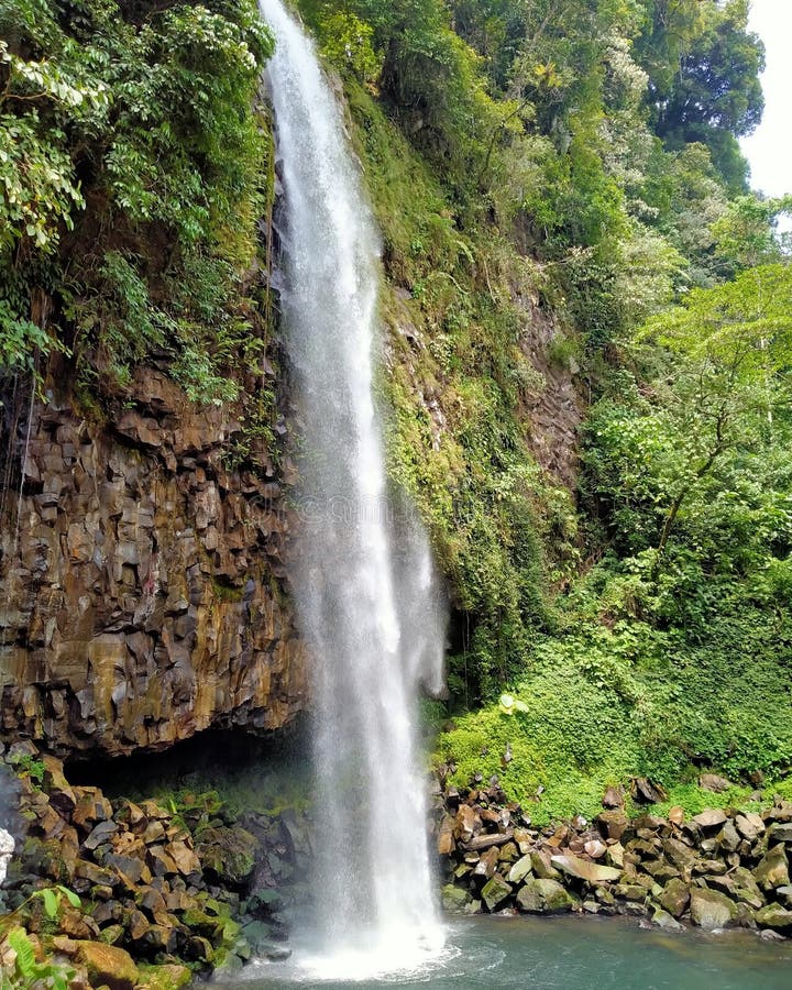 Go Green, Waterfall, Nature Stock Image - Image of watercourse, forest ...