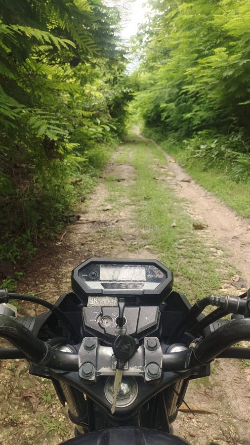 Go greend village and city stock image. Image of forest - 262968267