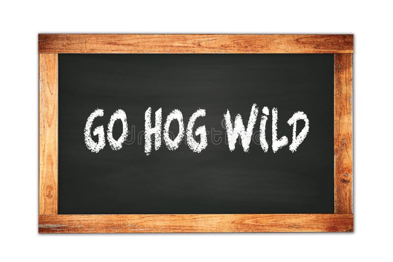 GO HOG WILD Text Written on Wooden Frame School Blackboard Stock Image ...