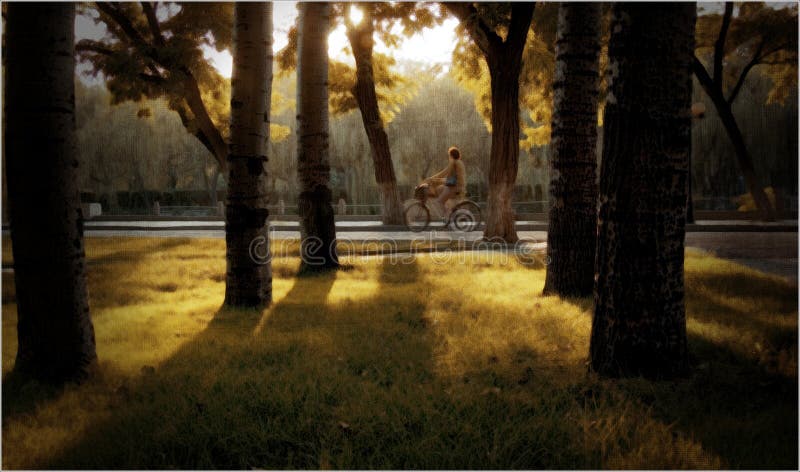 Go home stock image. Image of bicycle, bank, shadown, backlighting ...
