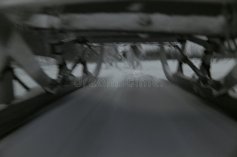 Go husky go stock photo. Image of outdoors, race, runnings - 6641686