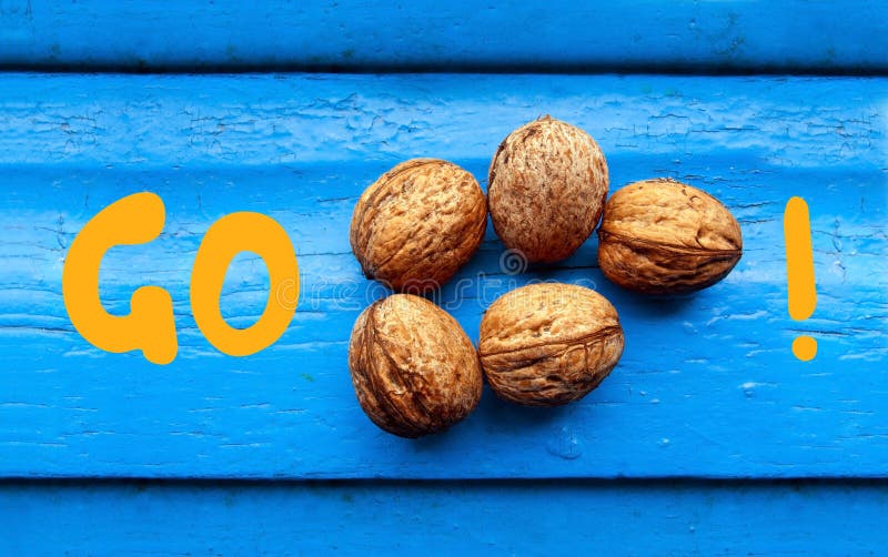 Go nuts! stock photo. Image of inspiration, humor, concept - 41758062
