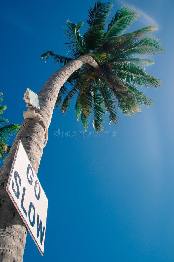 Go Slow Sign on Palm Tree in Caye Caulker Belize Stock Photo - Image of ... Go Slow Sign on Palm Tree in Caye Caulker Belize Stock Photo - Image of ...