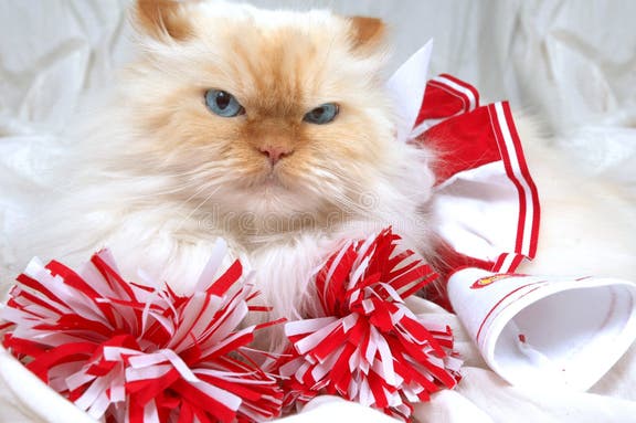 6,553 Go Team Stock Photos - Free & Royalty-Free Stock Photos from ...