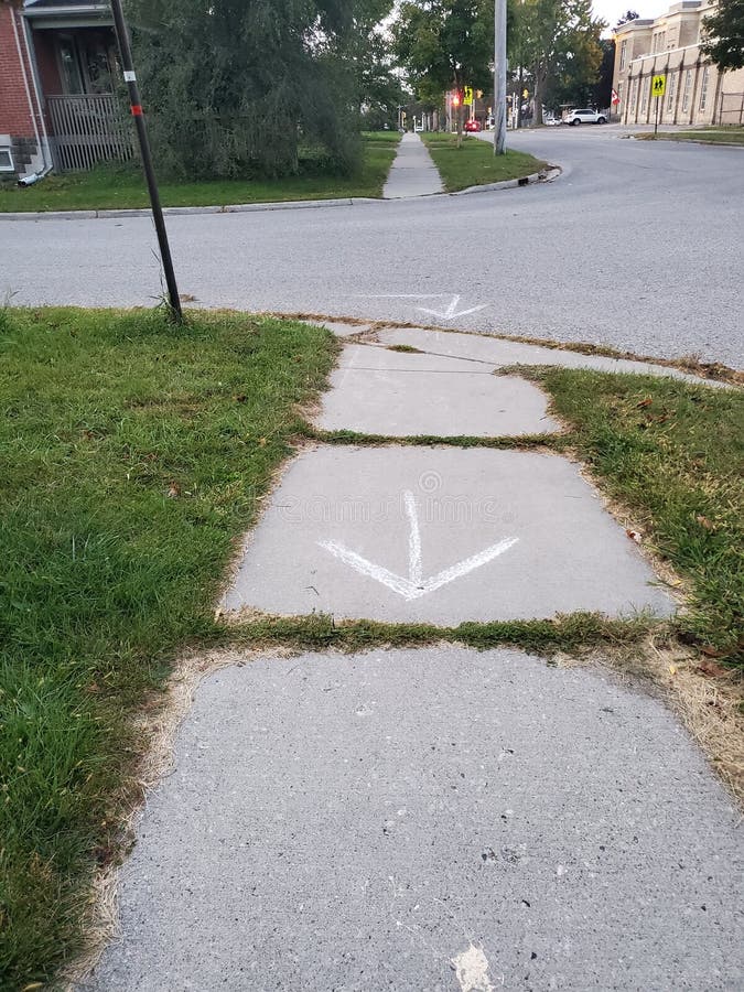 Go this way arrow stock photo. Image of grass, plant - 197904898