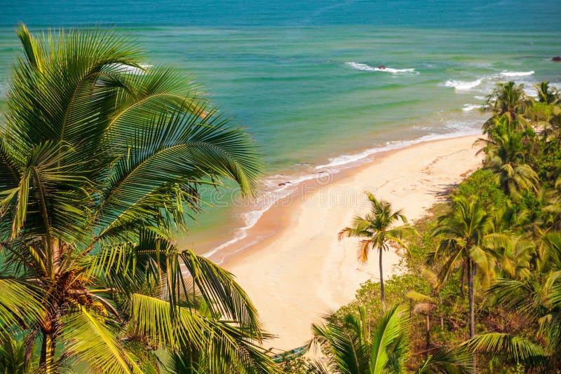 Goa Beach Aerial View, India Stock Photo - Image of green, beauty ...