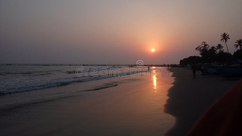Goa beach stock photo. Image of turtle, riff, beach - 91226028