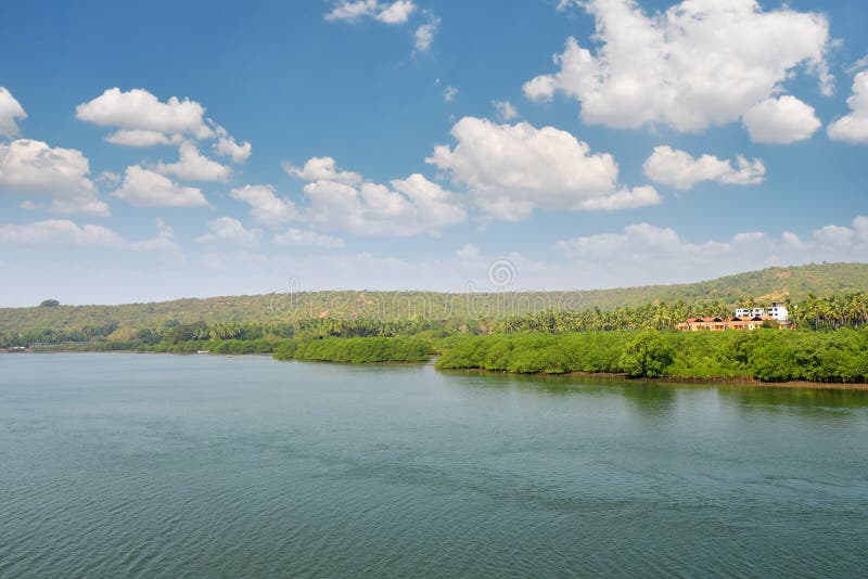 GOA, Chapora River stock photo. Image of tourism, foliage - 85578630