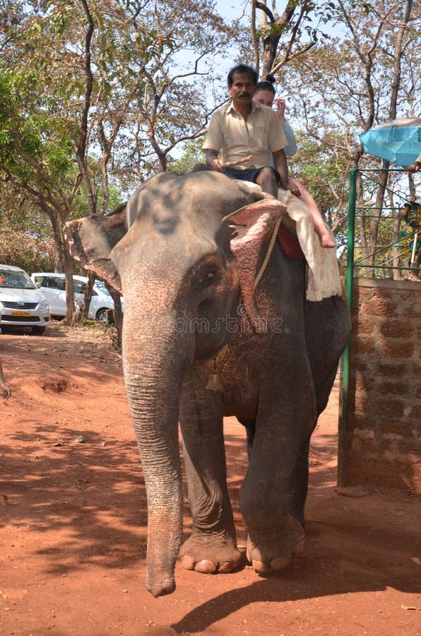 Elephant rides people editorial photo. Image of outdoors - 148521806