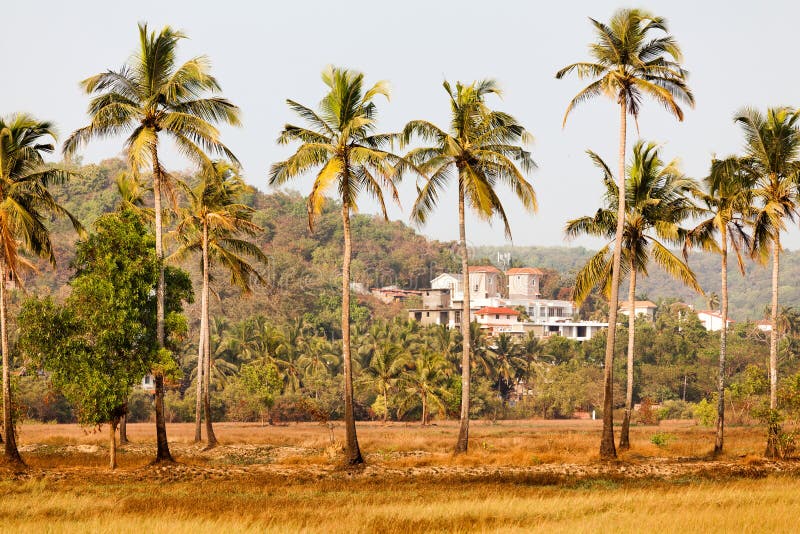 Goa landscape stock image. Image of tropical, coastline - 75873121