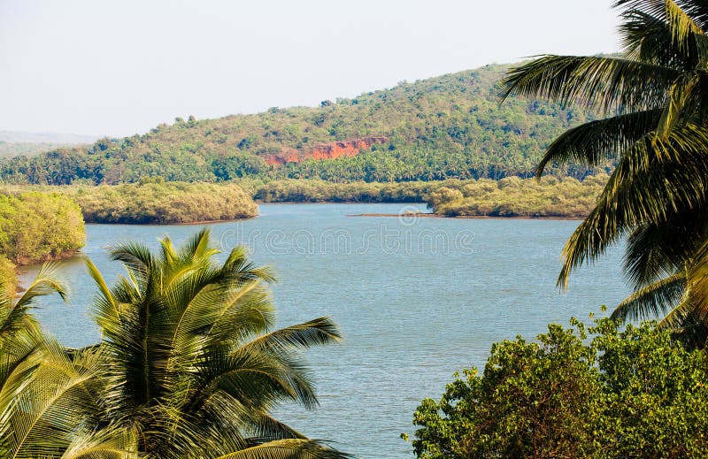 Goa landscape stock image. Image of nature, summer, hills - 75873077