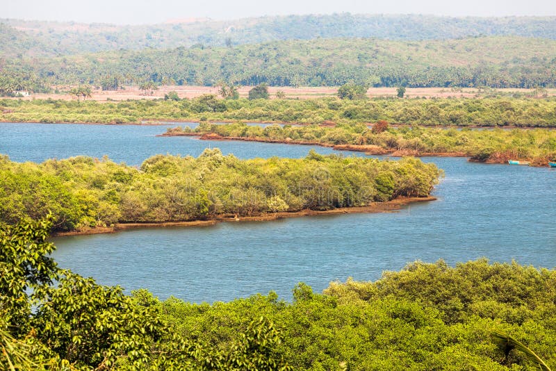 Goa landscape stock image. Image of tropical, shore, palm - 75873161