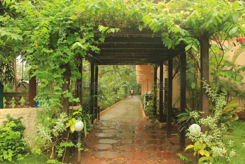 Goa rains stock photo. Image of rains, monsoon, raining - 126701982