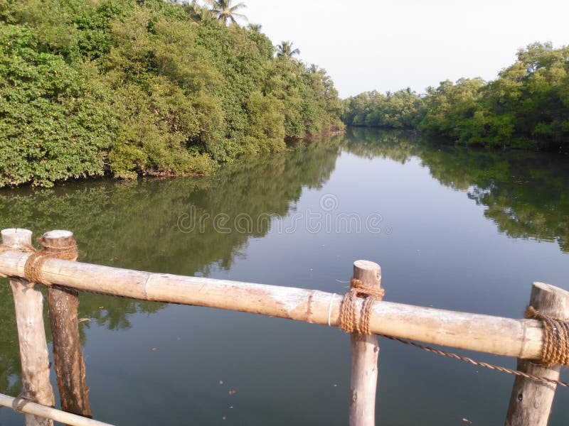 Goa stock photo. Image of river, harmony, india - 71689868