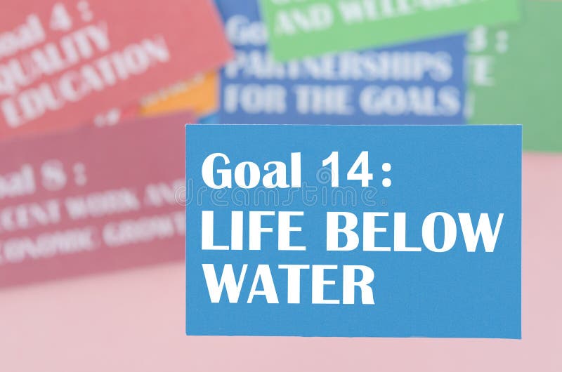 Sustainable Development Goals 17 Sdgs Stock Photos - Free & Royalty ...