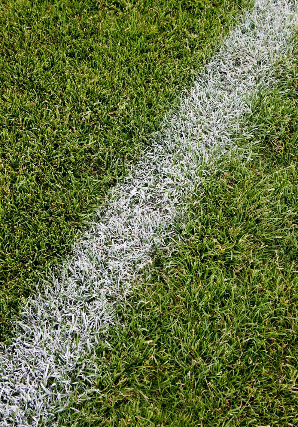 2,280 Lime White Line Stock Photos - Free & Royalty-Free Stock Photos ...