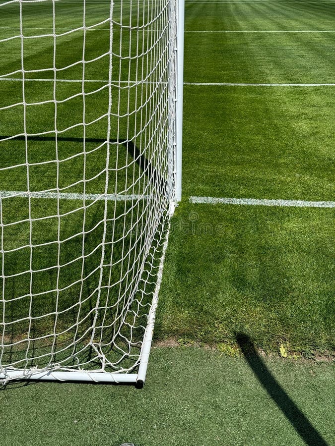 Goal Net on the Green Field of a Football Stadium Stock Image - Image ...