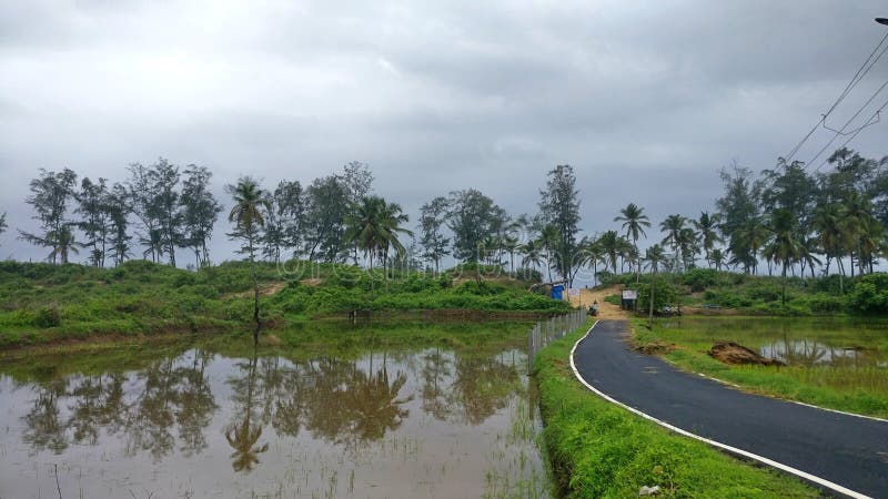 Goan Green Vibes stock photo. Image of water, green - 127098770