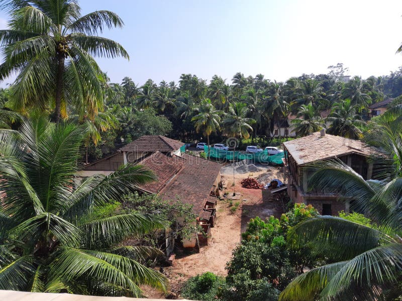 Goan Village With Beautiful Coconut Trees Surrounding Stock Photo ...
