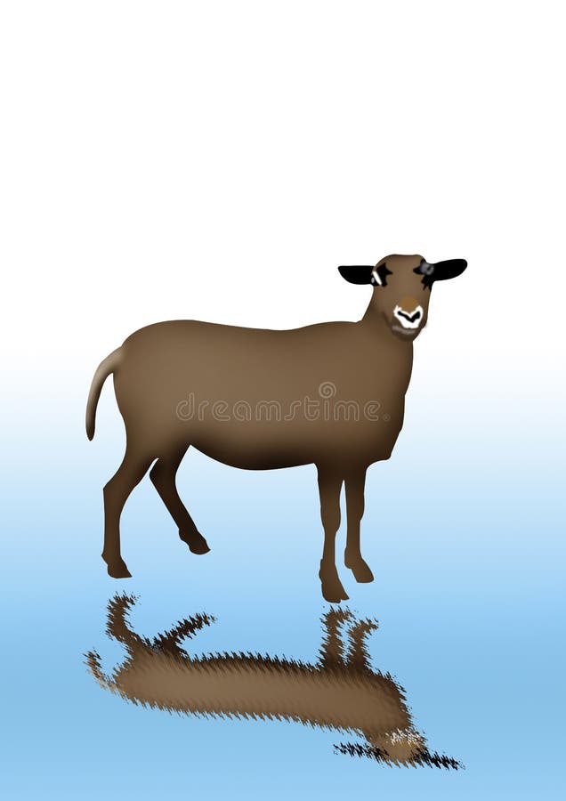 Stages of Goats Growth Set. Animal Farm. Breeding Wool Production ...