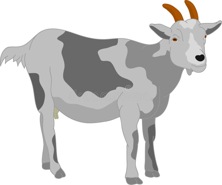 Goat Front Vector Stock Illustrations – 1,629 Goat Front Vector Stock ...