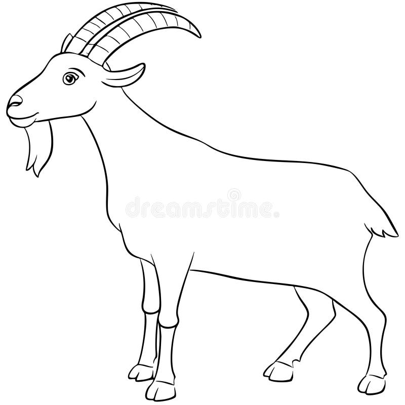 Line Drawing of a Goat with Curved Horns Stock Vector - Illustration of ...