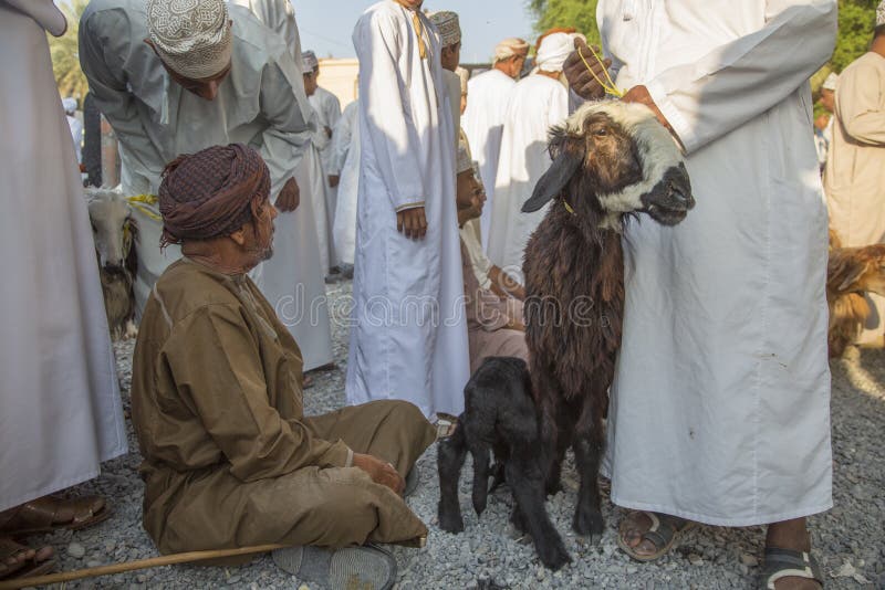 Goat auction of Nizwa editorial stock image. Image of market - 79054534