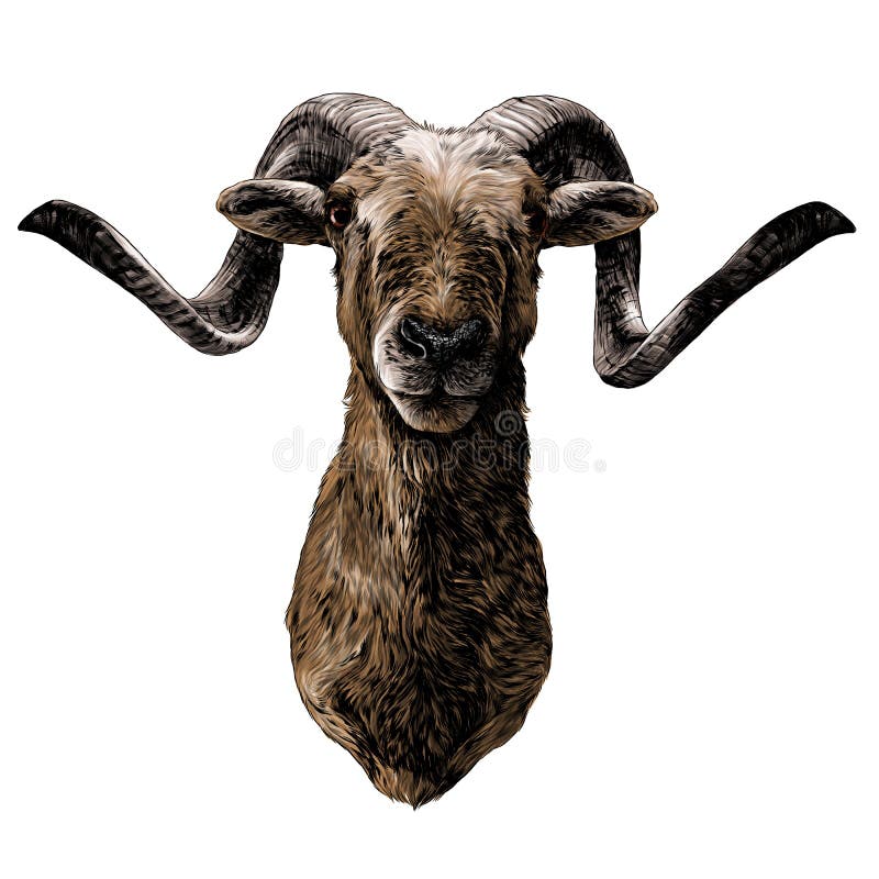 Symmetrical Goat Stock Illustrations – 18 Symmetrical Goat Stock ...