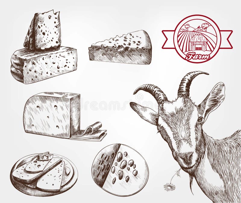 Goat breeding stock vector. Illustration of hole, food - 58831189