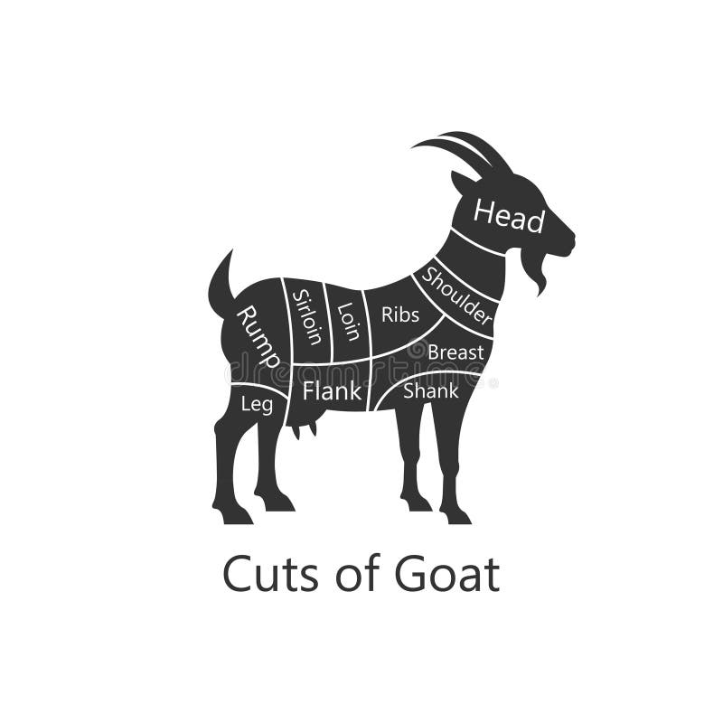 Goat Butchery Diagram. Cuts of Goat. Perfect for Restaurant Menus and ...