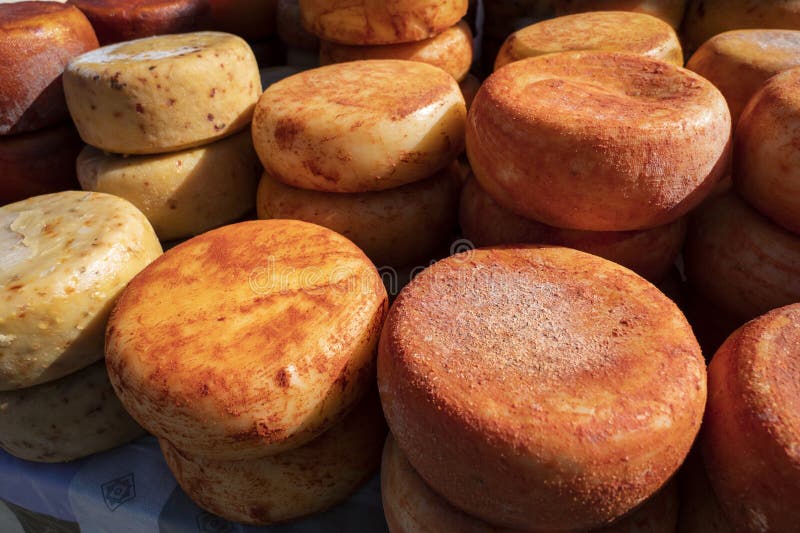 Goat cheese stock photo. Image of dish, white, baking - 278618502