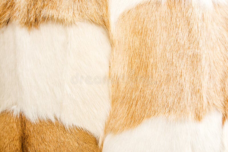 Goat fur closely stock photo. Image of abstract, redheaded - 51833038
