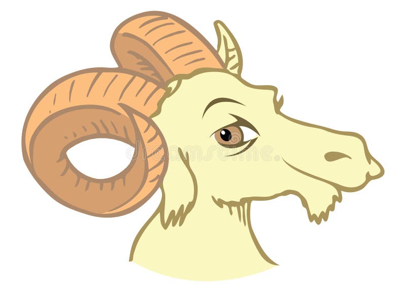 Goat head stock vector. Illustration of billygoat, horns - 25675223