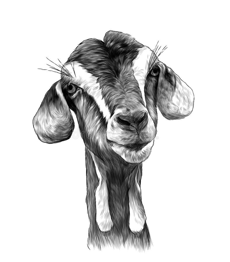 Stroke Girl Stock Illustrations – 22,073 Stroke Girl Stock ...