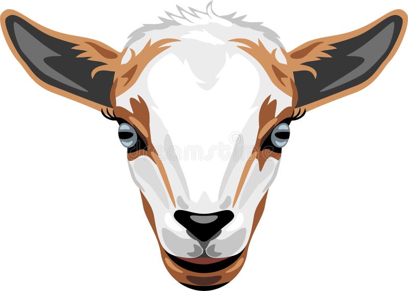 Goat Head Isolated on White Stock Vector - Illustration of cartoon ...