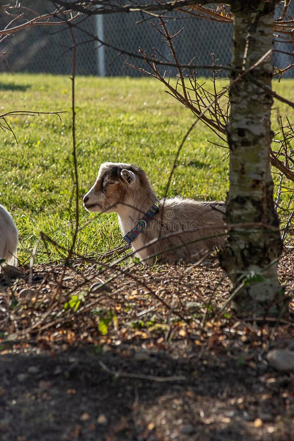 1,562 Laying Out Sun Photos - Free & Royalty-Free Stock Photos from ...