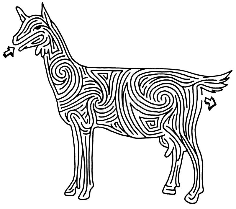 Goat Maze stock illustration. Illustration of graphic, start - 970222