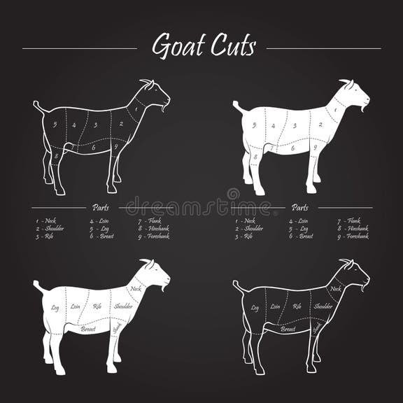Goat Meat Cuts Scheme on Blackboard Stock Vector - Illustration of ...