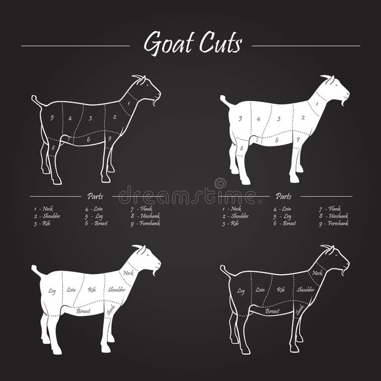 Goat Meat Cuts Scheme on Blackboard Stock Vector - Illustration of ...