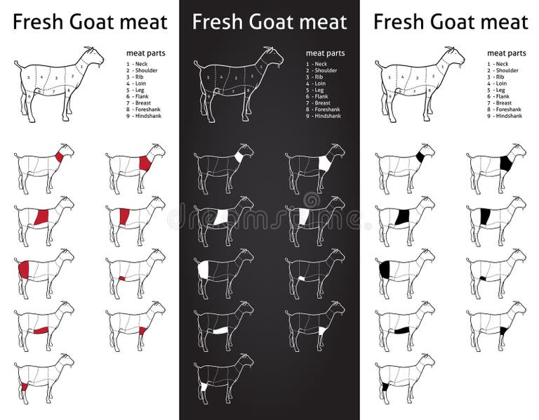 Goat Meat Cuts Stock Illustrations – 66 Goat Meat Cuts Stock ...