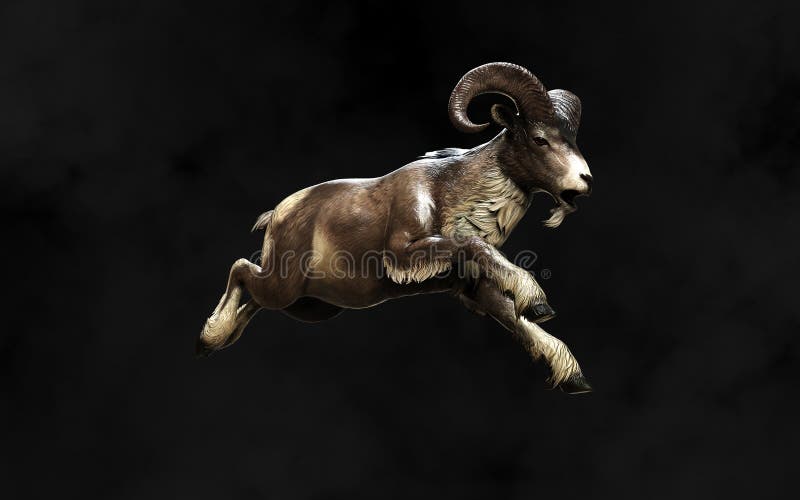 Goat Pose Isolate on Black Background with Clipping Path. Stock ...