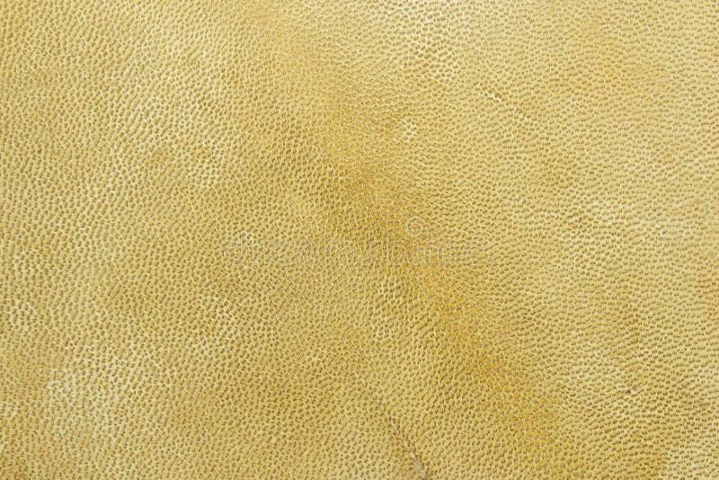 Goat skin background stock photo. Image of texture, hairless - 32448416