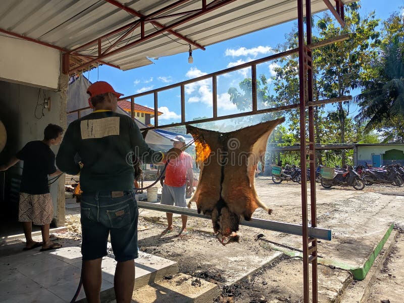 Woman Slaughter Goat Stock Photos - Free & Royalty-Free Stock Photos ...