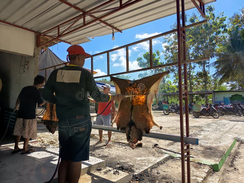 Woman Slaughter Goat Stock Photos - Free & Royalty-Free Stock Photos ...