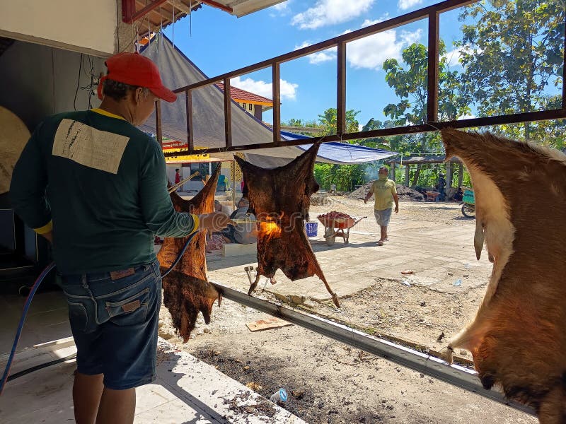 Woman Slaughter Goat Stock Photos - Free & Royalty-Free Stock Photos ...