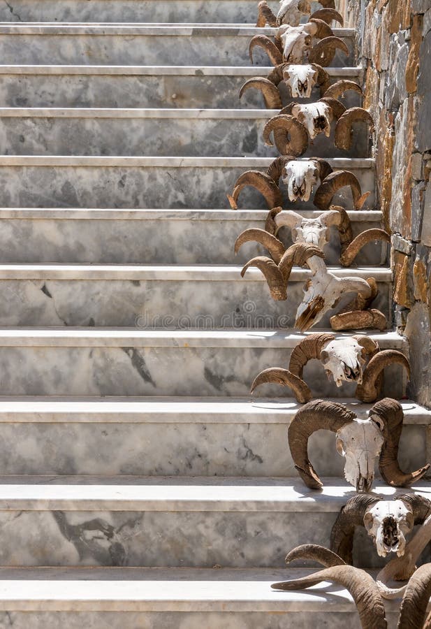 Goat Skull on a Stone Stairs Stock Image - Image of oceania, australia ...