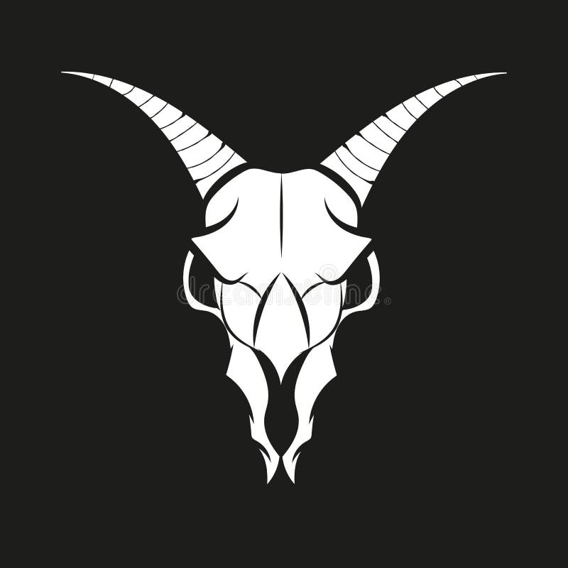 Goat Skull Vector stock vector. Illustration of head - 33684739