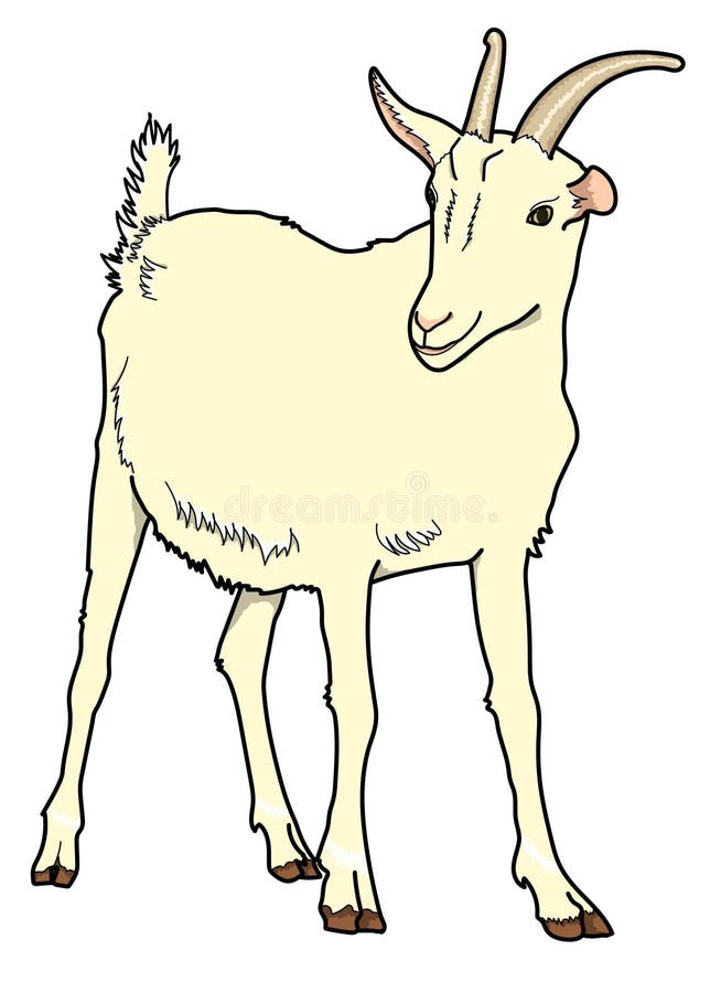 Whitegoat Stock Illustrations – 2 Whitegoat Stock Illustrations ...