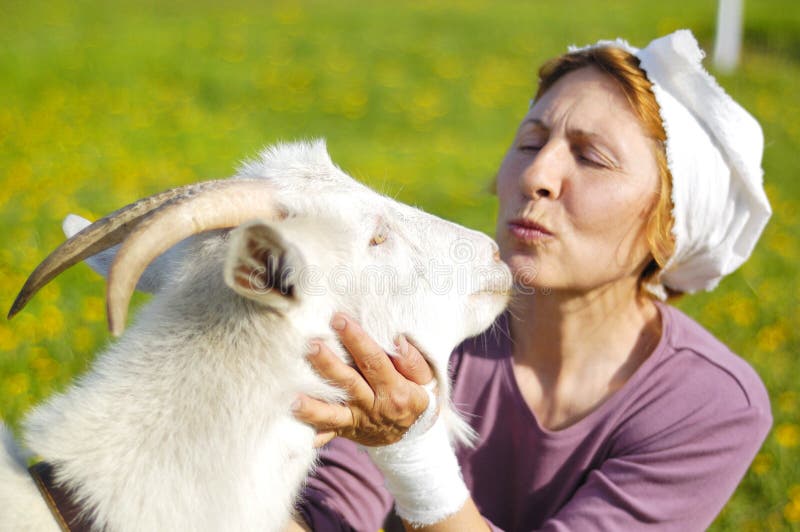 Goat and woman stock image. Image of animal, meadow, rural - 36940387