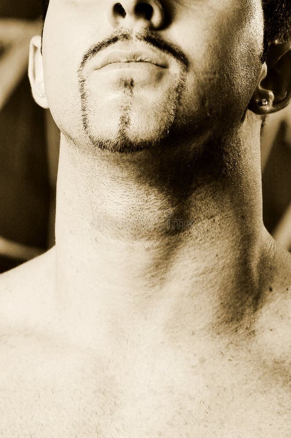 Goatee stock photo. Image of lips, beard, clean, sepia - 485612